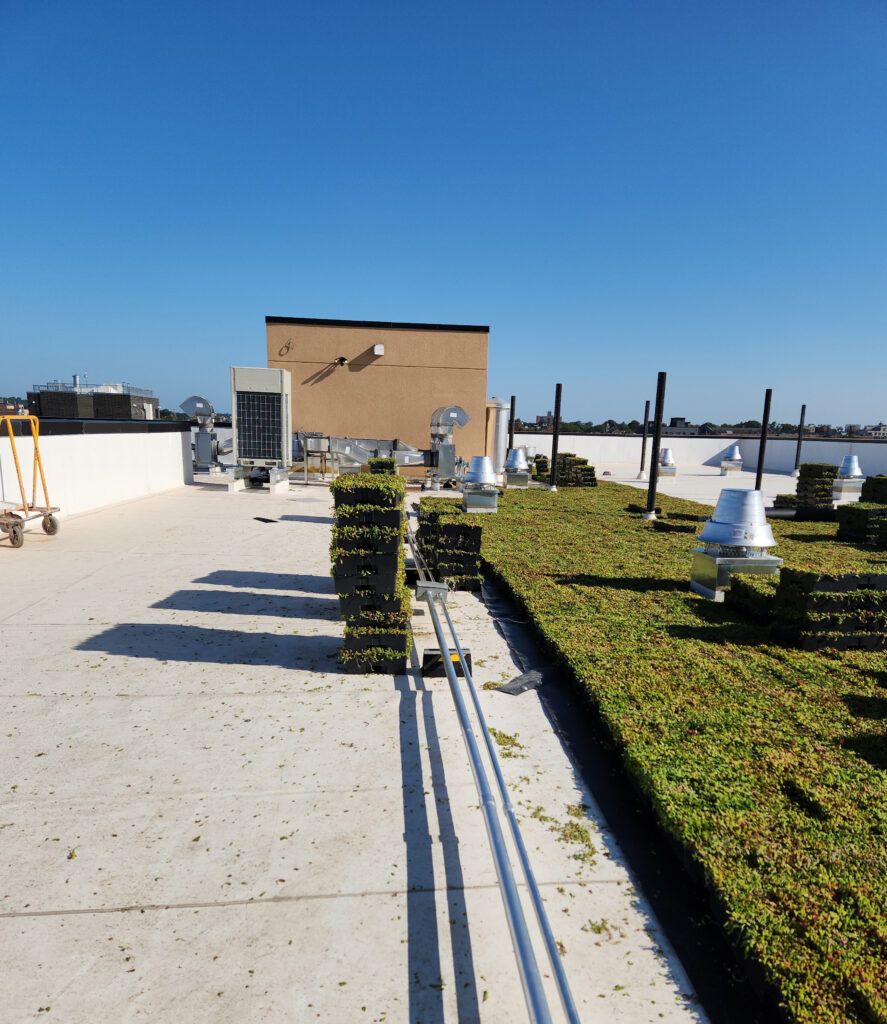 725 E Gun Hill Road - Drpilla